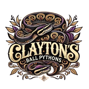 Clayton's Ball Pythons - MorphMarket