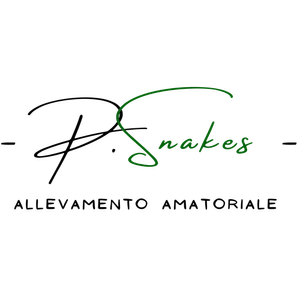 P.Snakes - MorphMarket