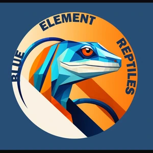 Blue Element Reptiles - MorphMarket
