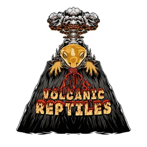 Volcanic Reptiles - MorphMarket