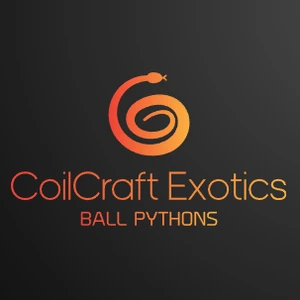 Coilcraft exotics - MorphMarket