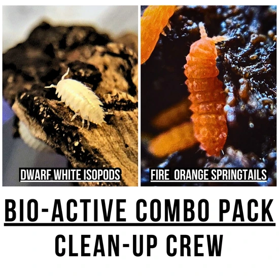 Combo Pack - Dwarf White Isopods (50ct) + Fire Orange Springtails (25ct ...