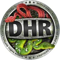 Darren Hamill Reptiles - MorphMarket