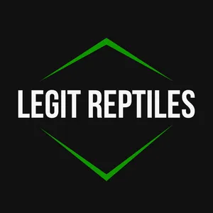 Legit Reptiles - MorphMarket