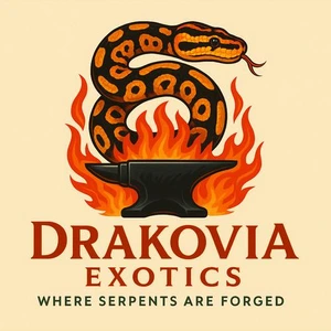 Drakovia Exotics - MorphMarket