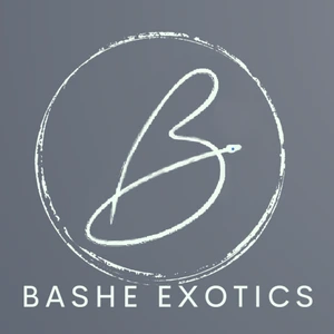 Bashe Exotics - MorphMarket