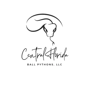 Central Florida Ball Pythons, LLC - MorphMarket