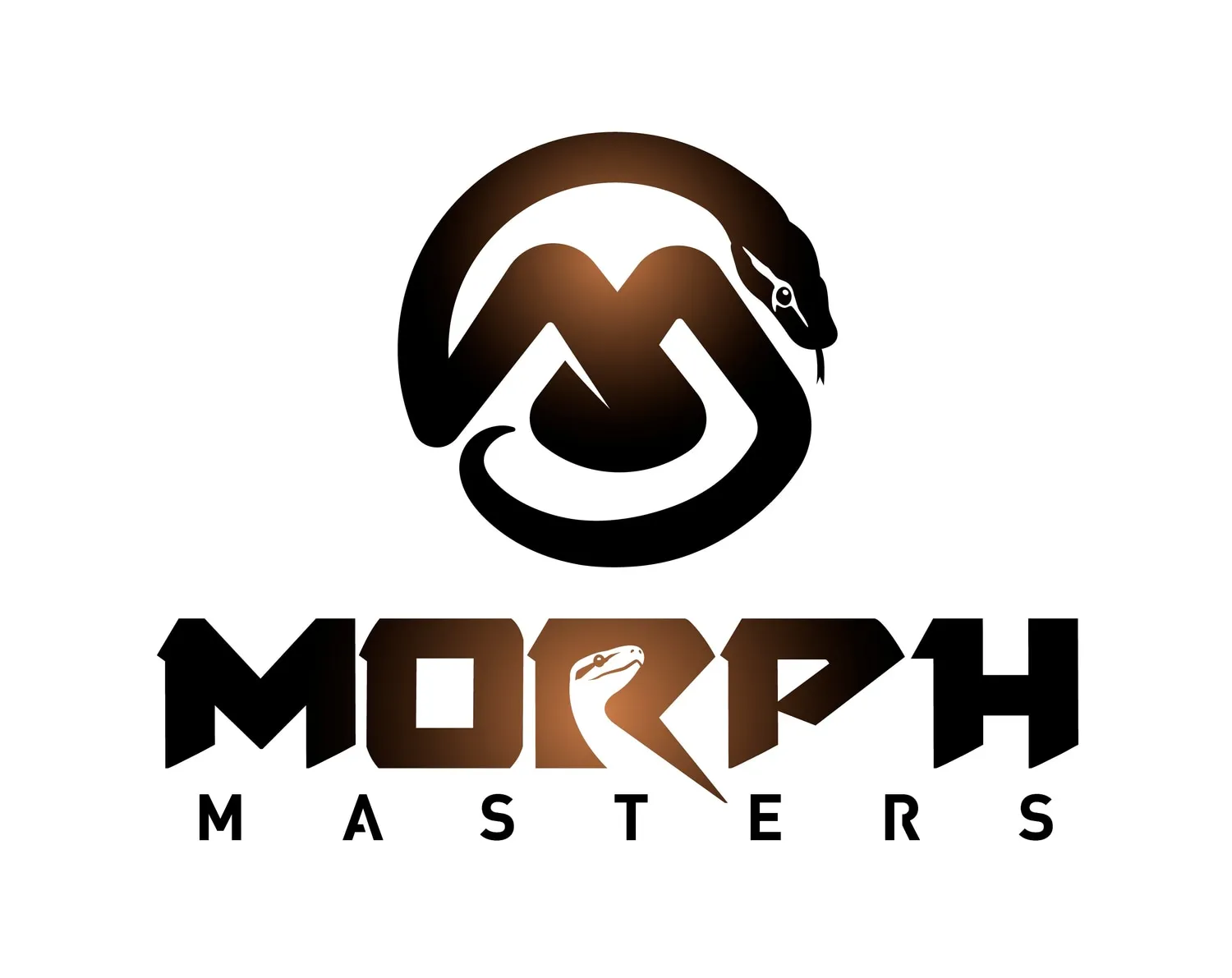 Ball Python Clutch: 2312 by MorphMasters - MorphMarket