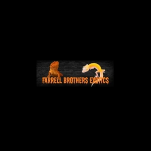 Farrell Brothers Exotics - MorphMarket