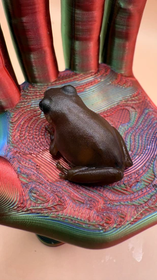 Melanistic/Plum Whites Tree Frog White's Tree Frog by Flora Colossi Frogs