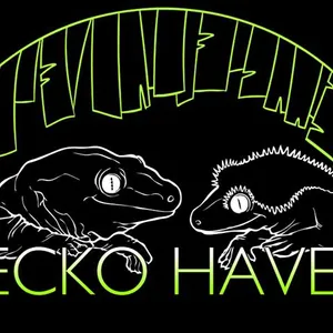 Gecko Haven - MorphMarket