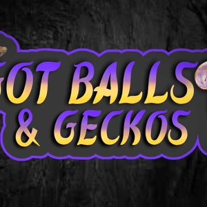 Got Balls & Geckos? - MorphMarket