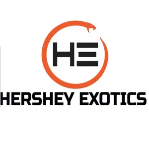 Hershey Exotics - MorphMarket