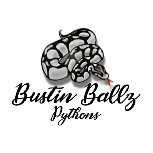 Bustin Ballz Pythons LLC - MorphMarket