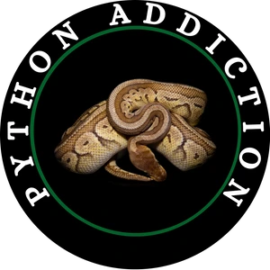 Python Addiction - MorphMarket