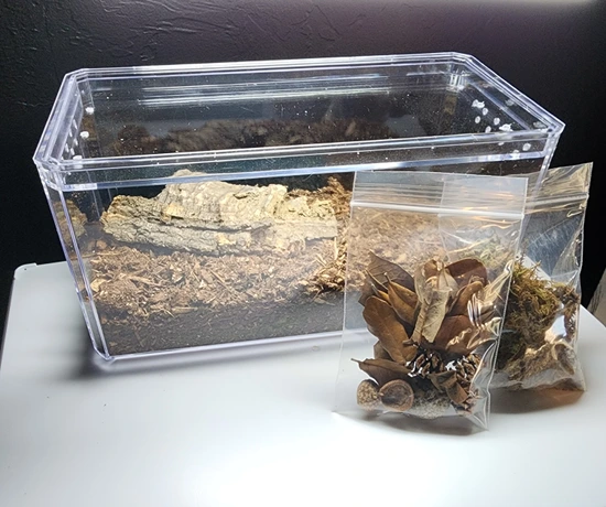 Dairy Cow - Full Starter Kit Isopod by Legacy Exotics