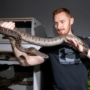 John Nygren Reptiles - MorphMarket