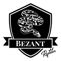 Bezant Reptiles - MorphMarket