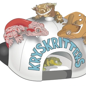 Krys's Kritters - MorphMarket