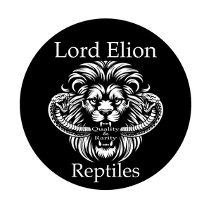 Lord Elion Reptile - MorphMarket