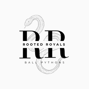 Rooted Royals - MorphMarket