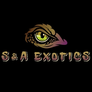 S&A Exotics - MorphMarket