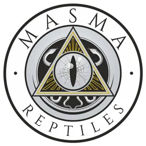 MASMA Reptiles - MorphMarket