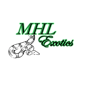 MHL Exotics - MorphMarket