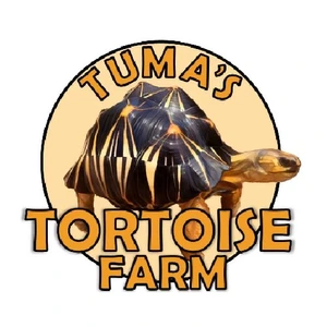 Tuma’s Tortoise Farm - MorphMarket