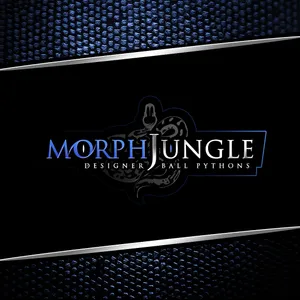 Morph Jungle - MorphMarket