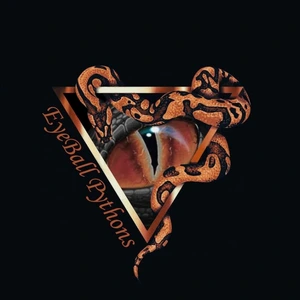 EyeBall Pythons - MorphMarket