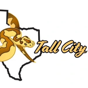 Tall City Balls - MorphMarket
