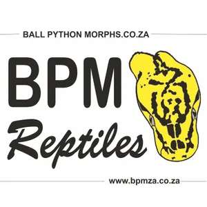 Stores in South Africa - MorphMarket