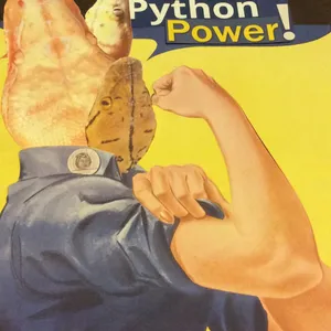 Python Power - MorphMarket