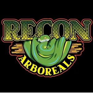 Recon Arboreals - MorphMarket