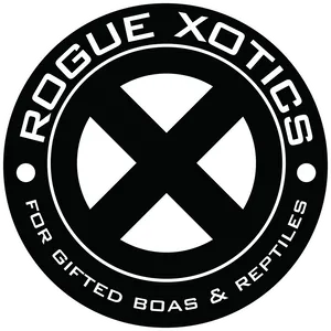 Rogue Xotics - MorphMarket