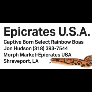 Epicrates USA - MorphMarket