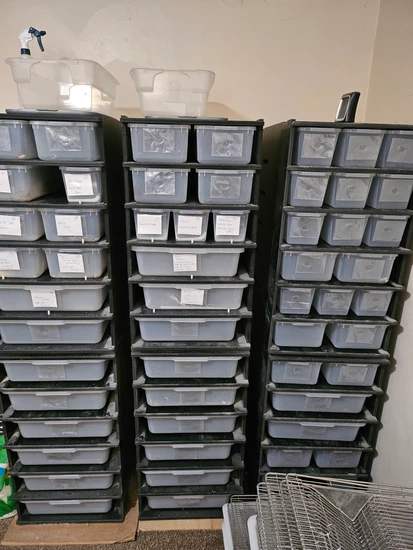 6) VE-6 Racks With Tubs **Read Before Bidding Ball Python by Bailey's ...