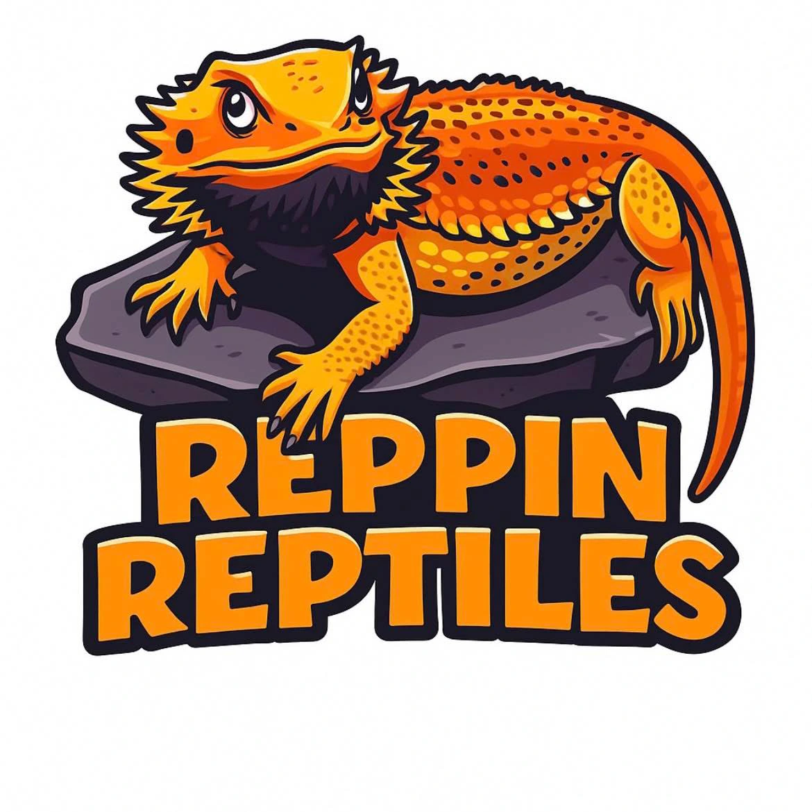 Ball Python Clutch: 1 by Reppin' Reptiles - MorphMarket