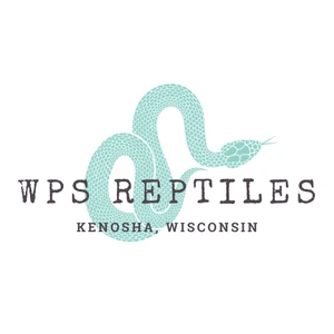 WPS Reptiles - MorphMarket