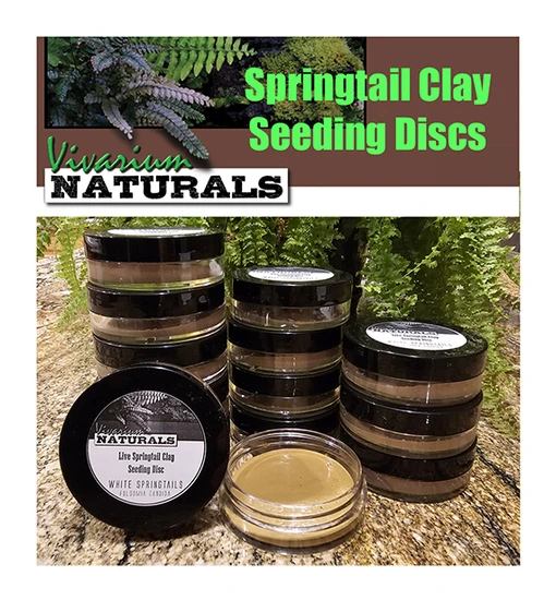 35 Count - Colored Springtail Clay Culture Seeding Discs - Yellow, Blue ...