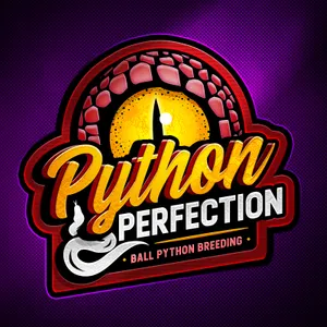 Phantom Crystal Clown (Baker Line Special) Ball Python by Python ...