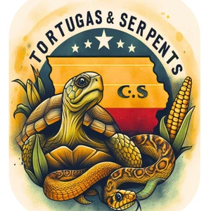 CS Tortugas & Serpents - MorphMarket