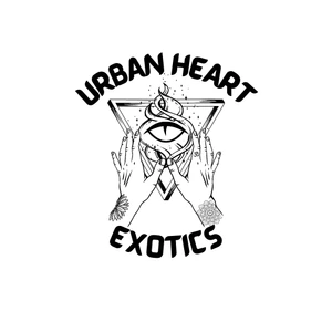 Urban Heart Exotics - MorphMarket