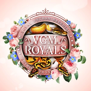VGM ROYALS - MorphMarket