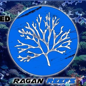 Ragan Reefs and Reptiles - MorphMarket