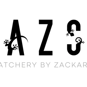 ZaZoo - MorphMarket