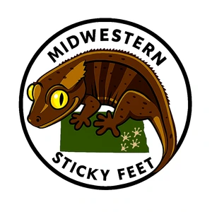 Midwestern Sticky Feet - MorphMarket